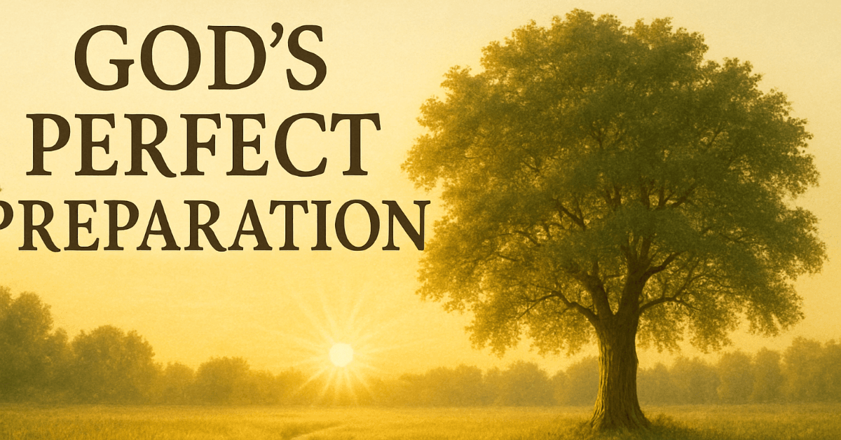 God’s Perfect Preparation – Chicago Bible Students